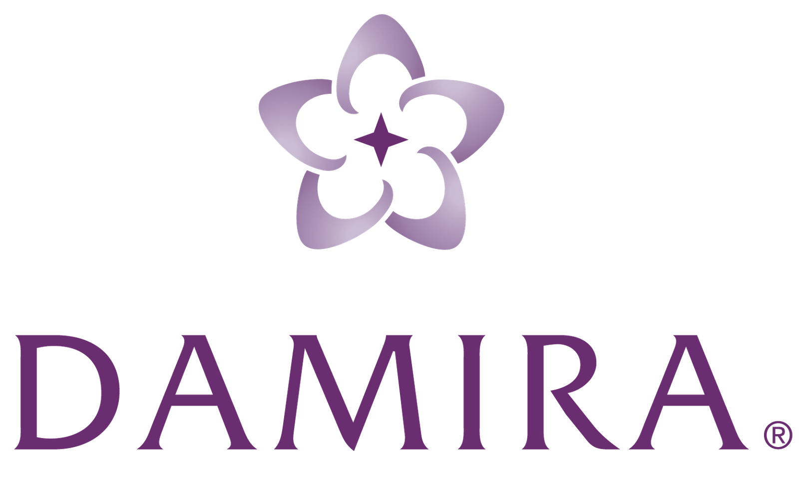 Damira - WDP | Printer | Web | Creative Design
